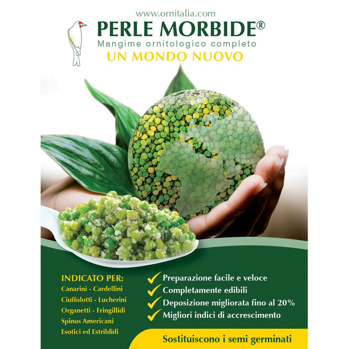 Ornitalia - Perle Morbide® Original / grün - gelb /… ᐅ HOHA.at